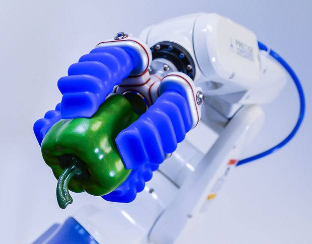 Tay gắp robot- GRIPPER